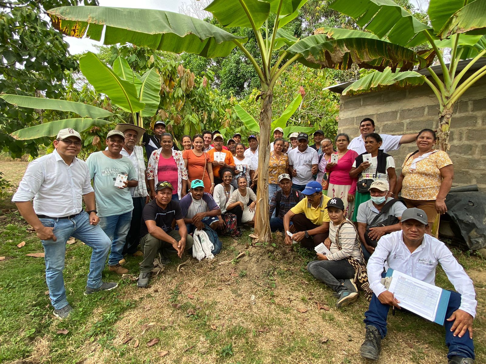 En Valencia, Córdoba, producen cacao como alternativa económica ...